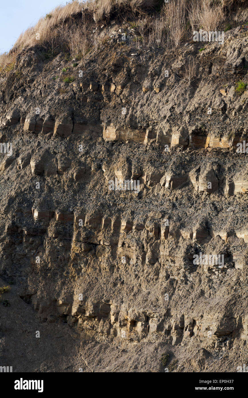 Kimmeridge Bay with it's oil shale cliffs part of The Jurassic Coast of ...