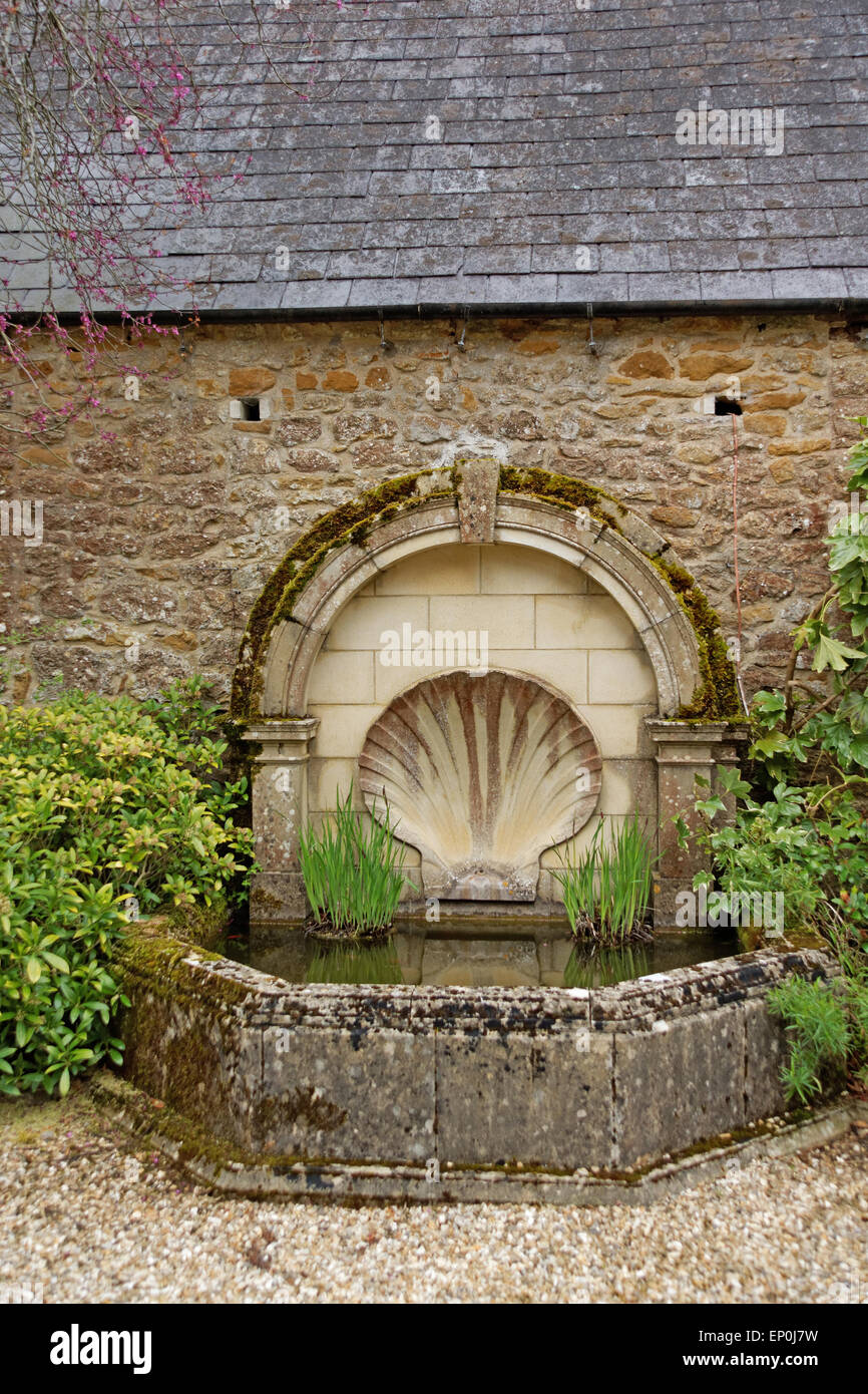 shell shape included in fish pond Stock Photo - Alamy