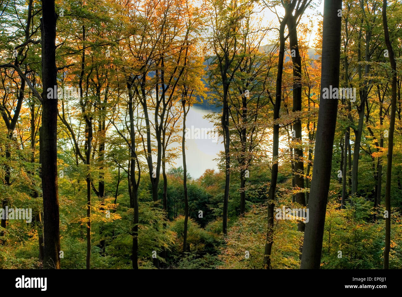 Scenery background hi-res stock photography and images - Alamy