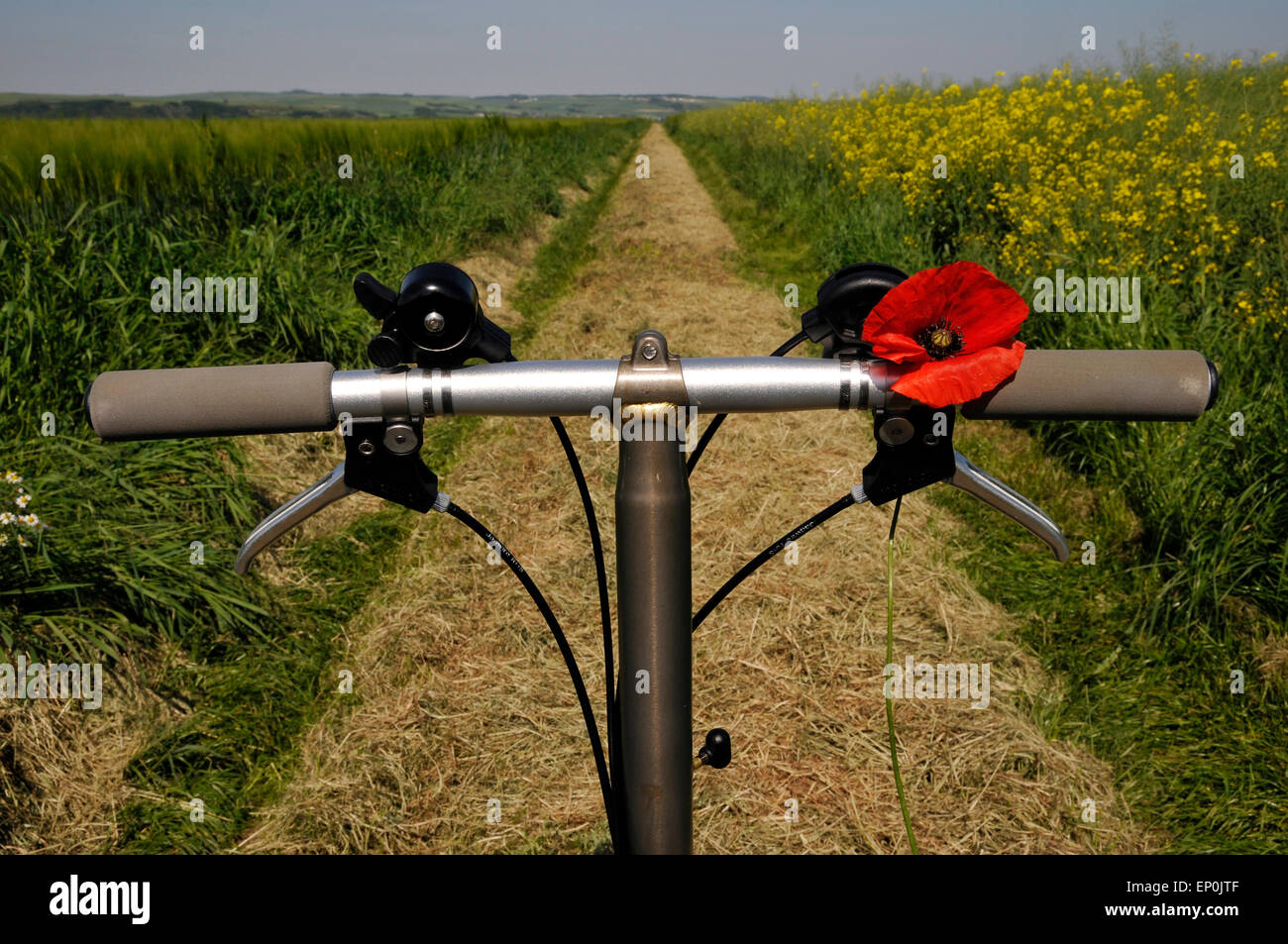 Bicycle with poppy on a country lane in summer, germany europe Stock ...