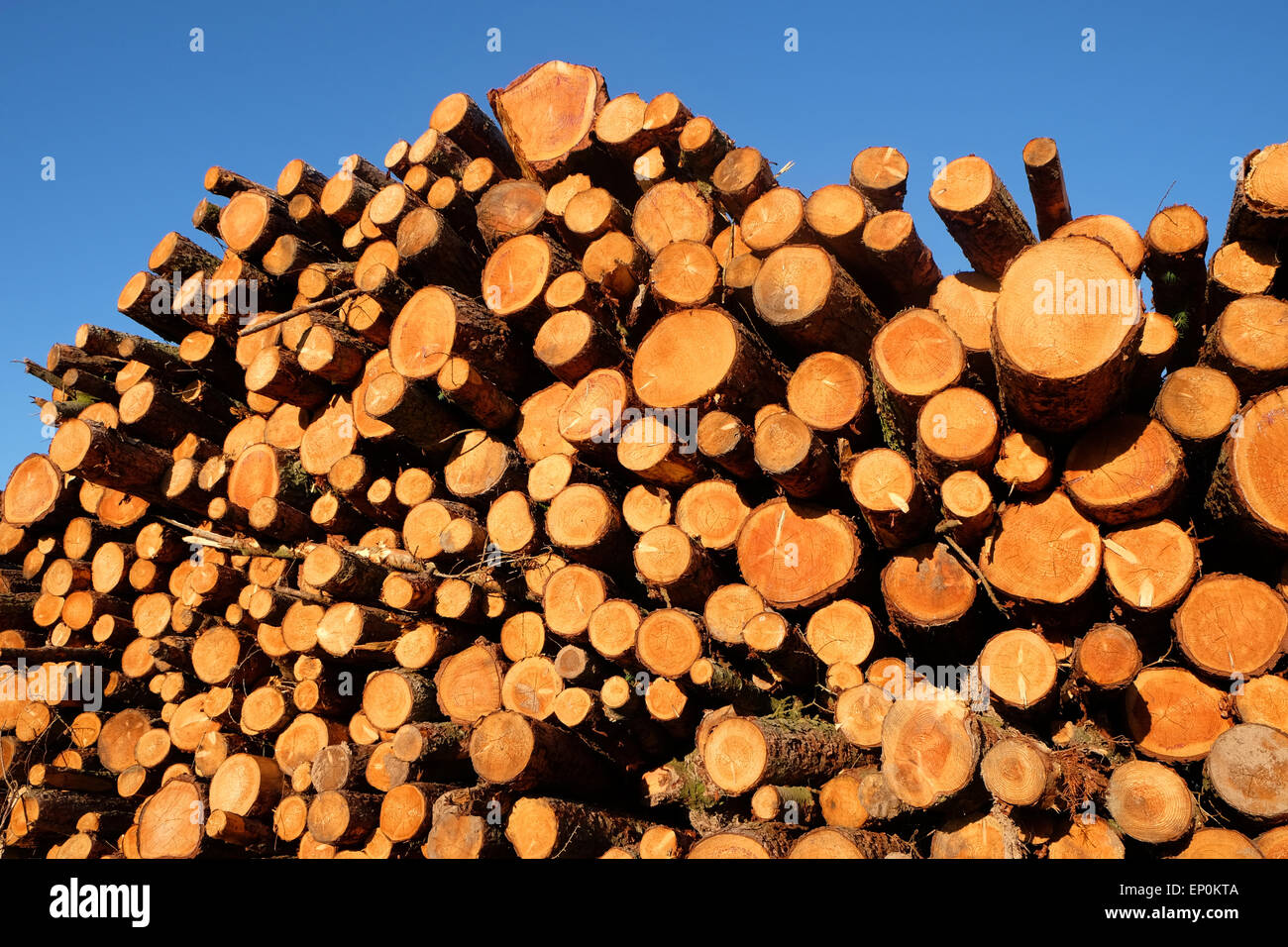 Stacked wood pile hi-res stock photography and images - Alamy