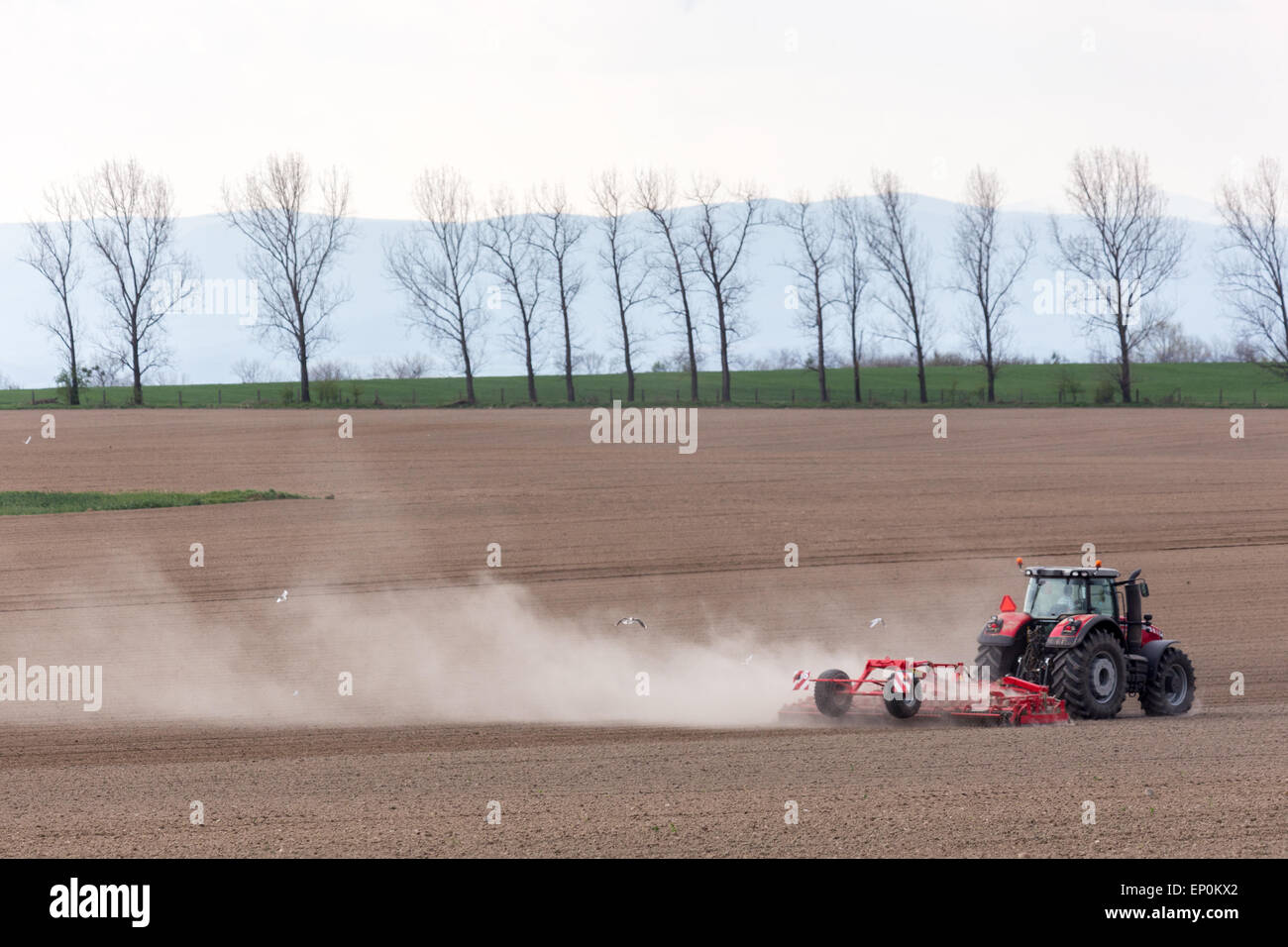 The tractor harrowing the large brown field in spring season Stock ...