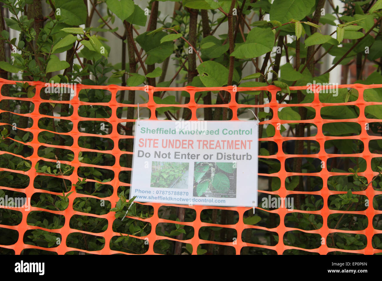 Do Not Enter sign on property invaded by Japanese Knotweed in Sheffield ...