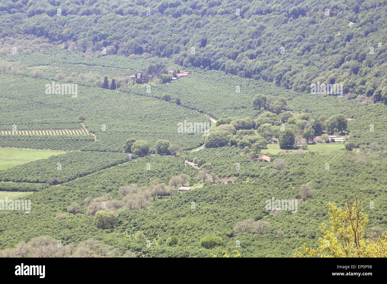 Volcanic lake of Vico, Viterbo, Italy Stock Photo - Alamy