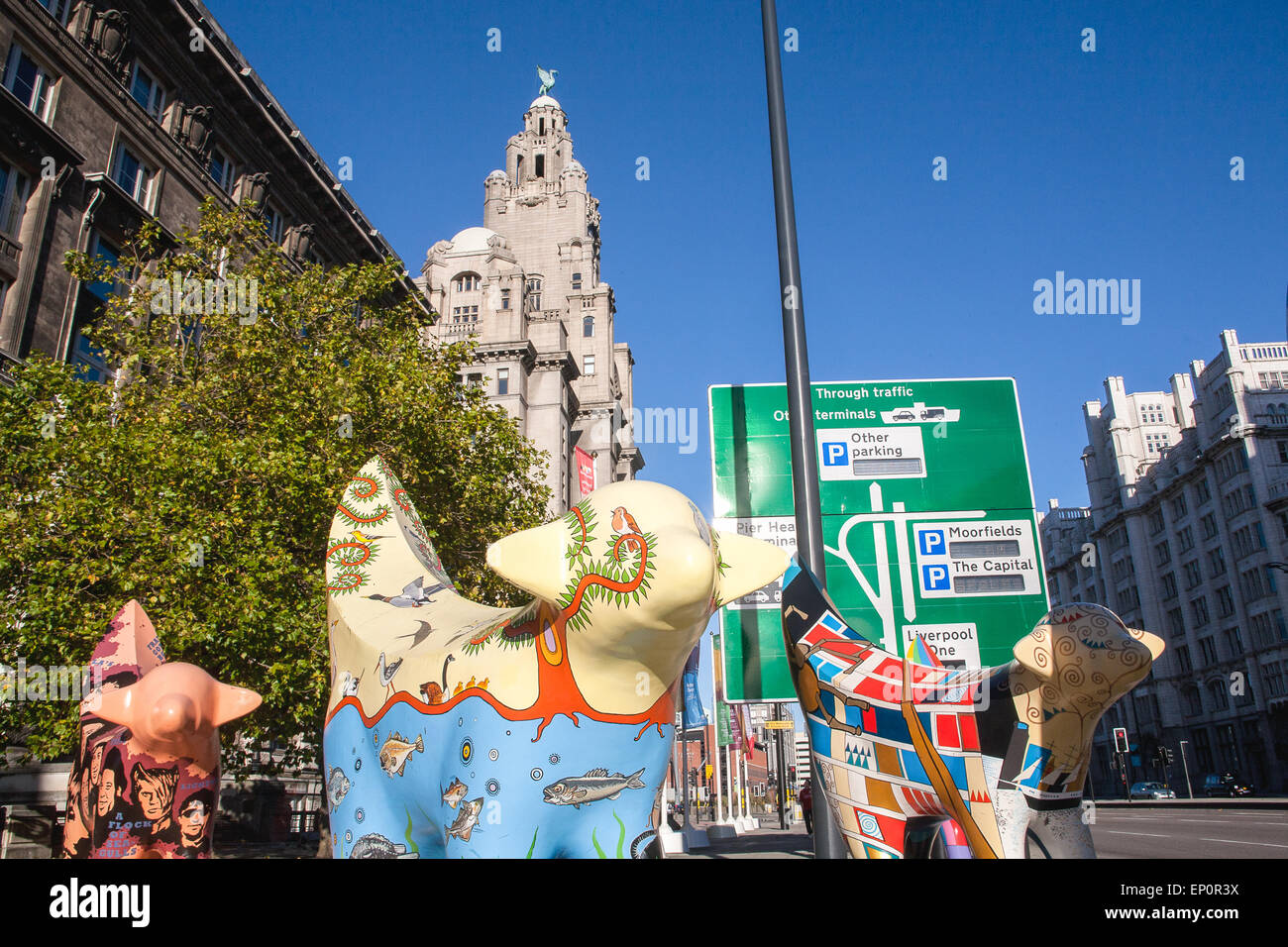 Decorated Lambananas, a cross between a lamb and a banana has become ...