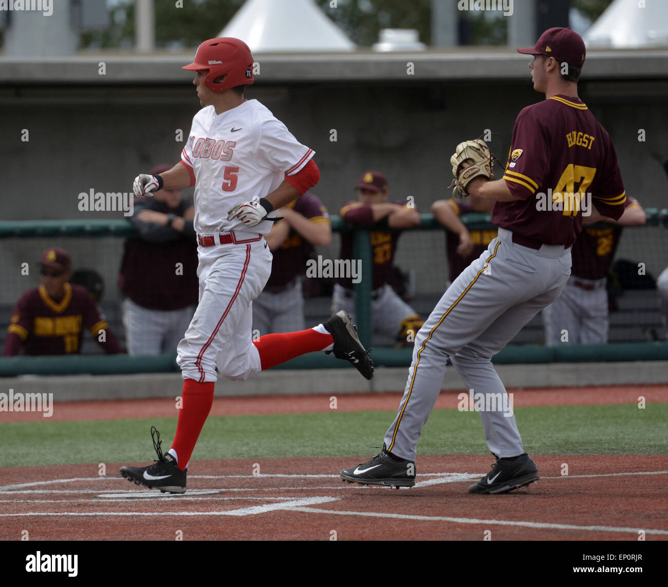 Has hingst hi-res stock photography and images - Alamy