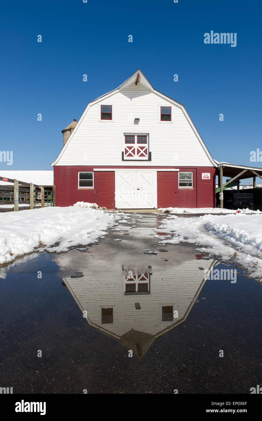 Front of red and white barn against a bright blue sky in College Park ...