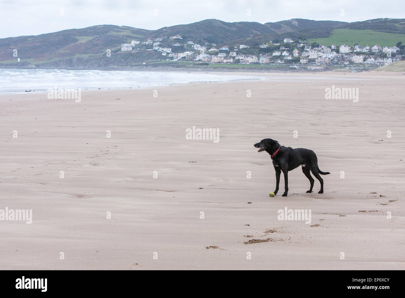 Crowded beach woolacombe in devon hi-res stock photography and images ...
