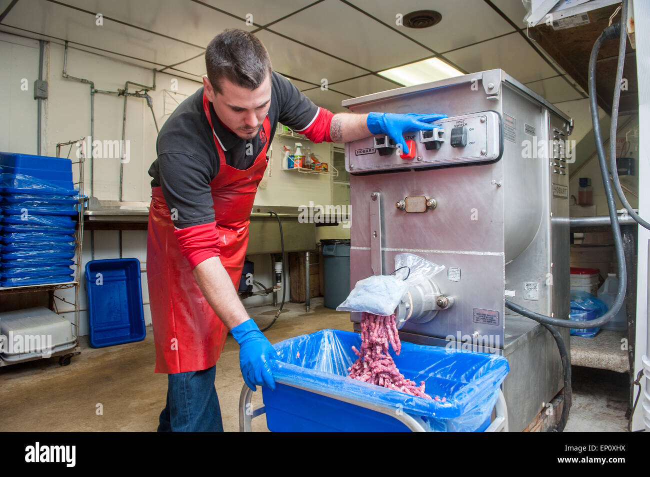 Man using meat grinder for baloney making in Frostburg, MD Stock Photo ...