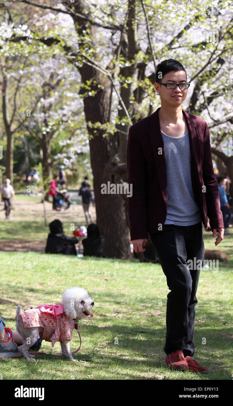 A young Asian man taking a walk through the park Stock Photo - Alamy