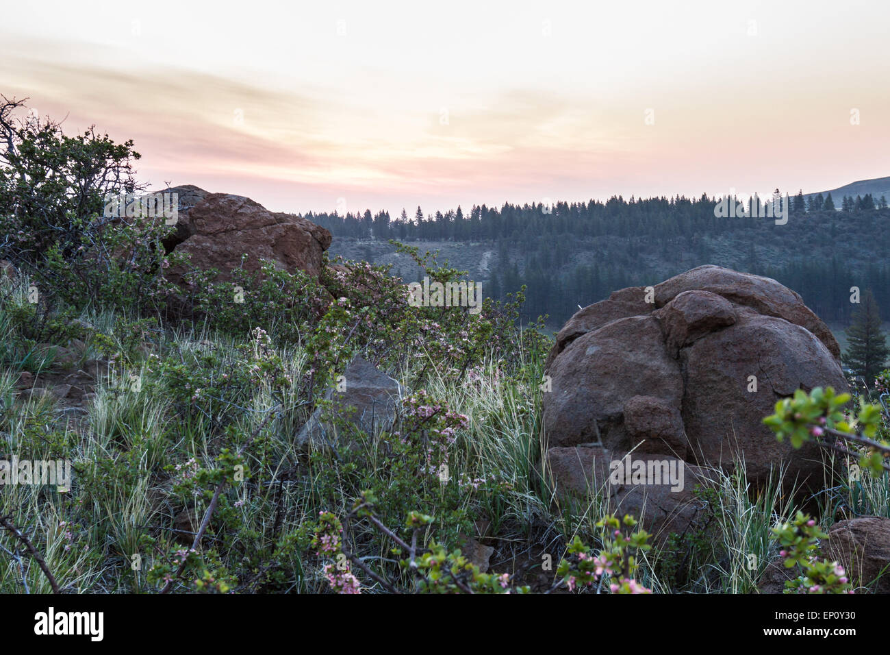 Nevada california border hi-res stock photography and images - Alamy