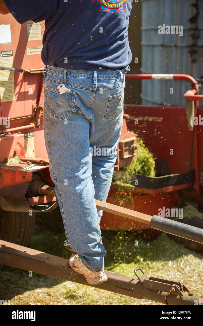 Man in jeans standing on tractor in Honesdale, PA Stock Photo - Alamy