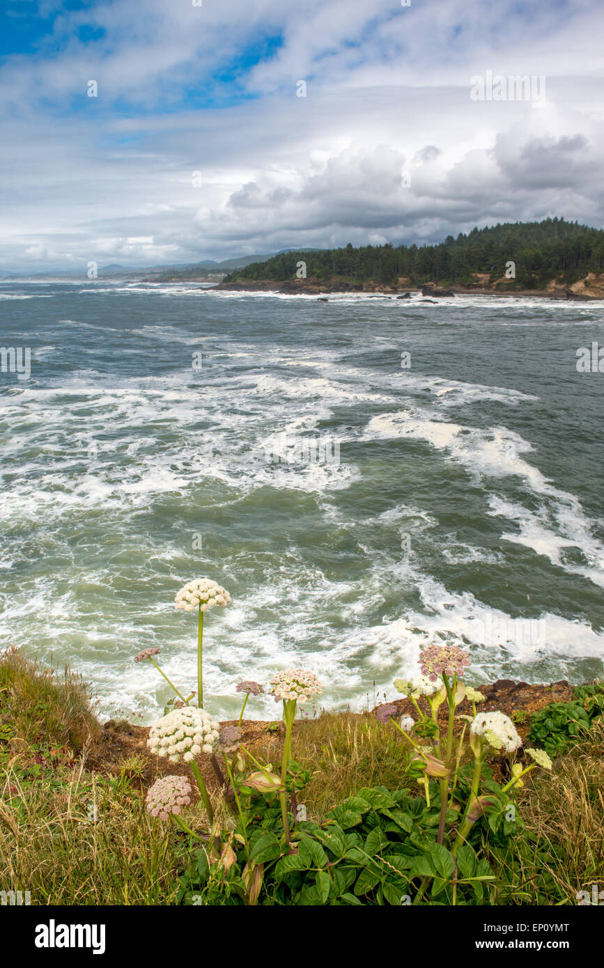 Oregon coast with flowers hi-res stock photography and images - Alamy