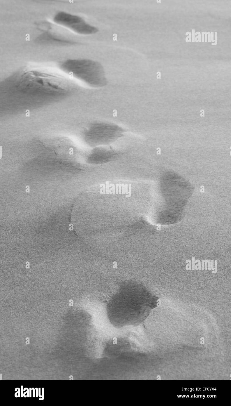 Identity exploration hi-res stock photography and images - Alamy