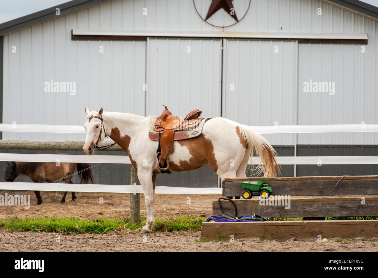 Saddle and horse barn hi-res stock photography and images - Alamy