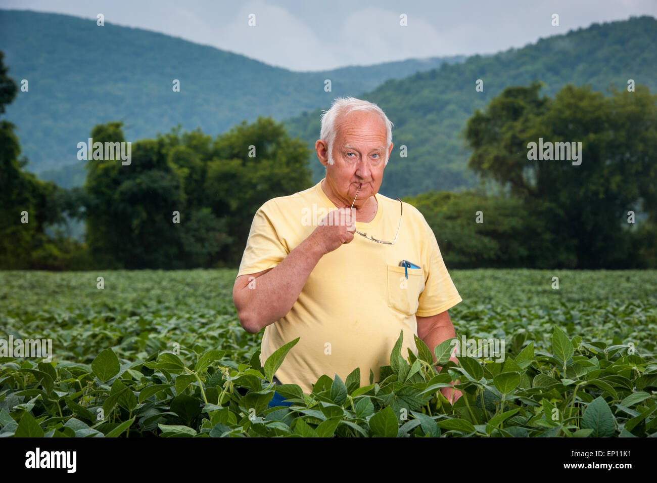 Male farmer standing in soybean field holding eye glasses Stock Photo ...