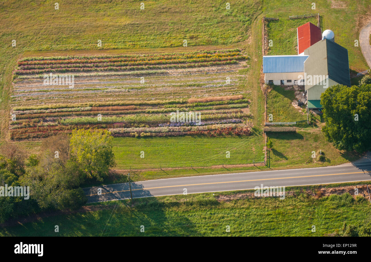 Fence symmetry hi-res stock photography and images - Alamy