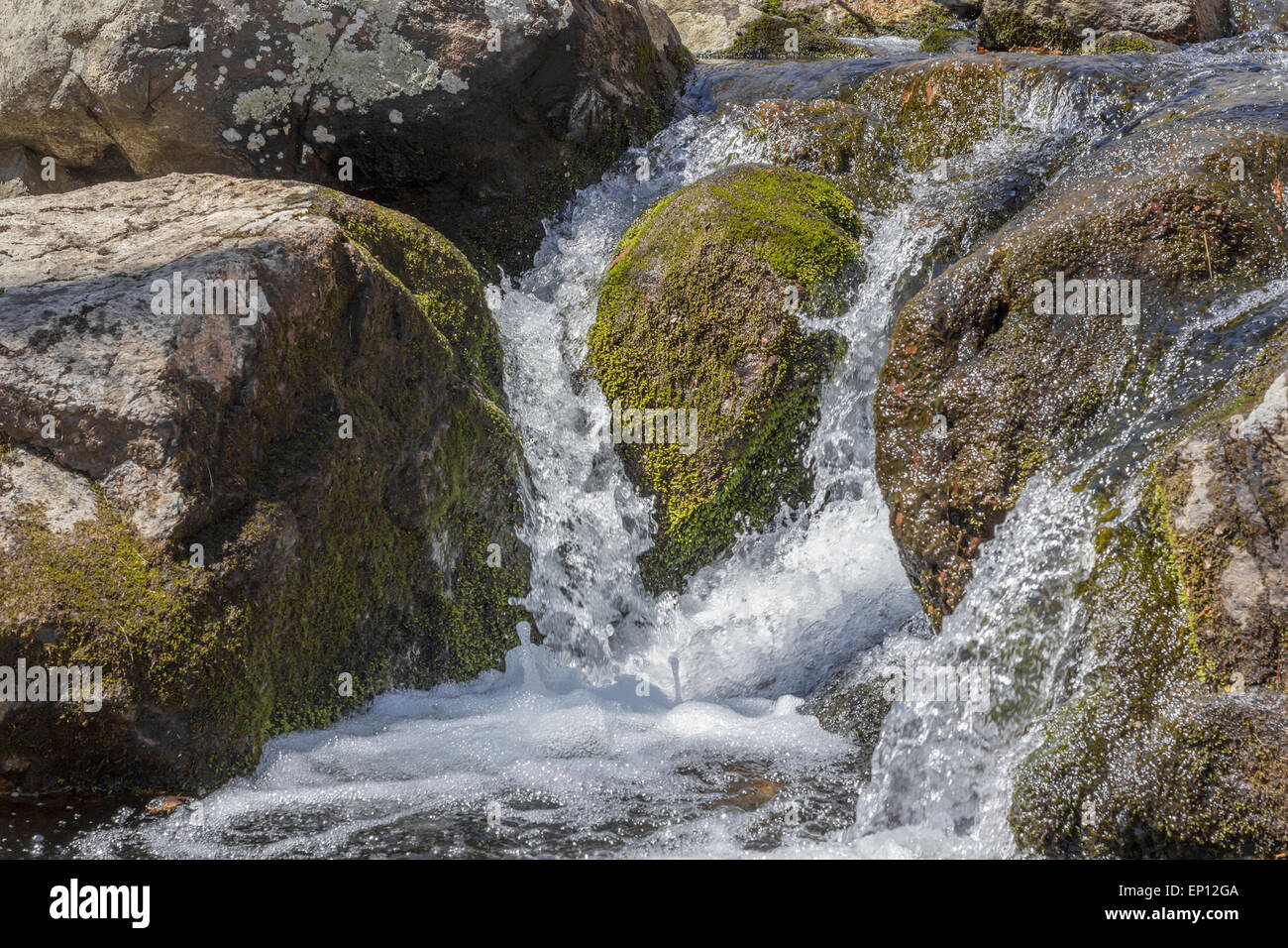 Waterfall rapids with water frozen in time splashing against mossy ...
