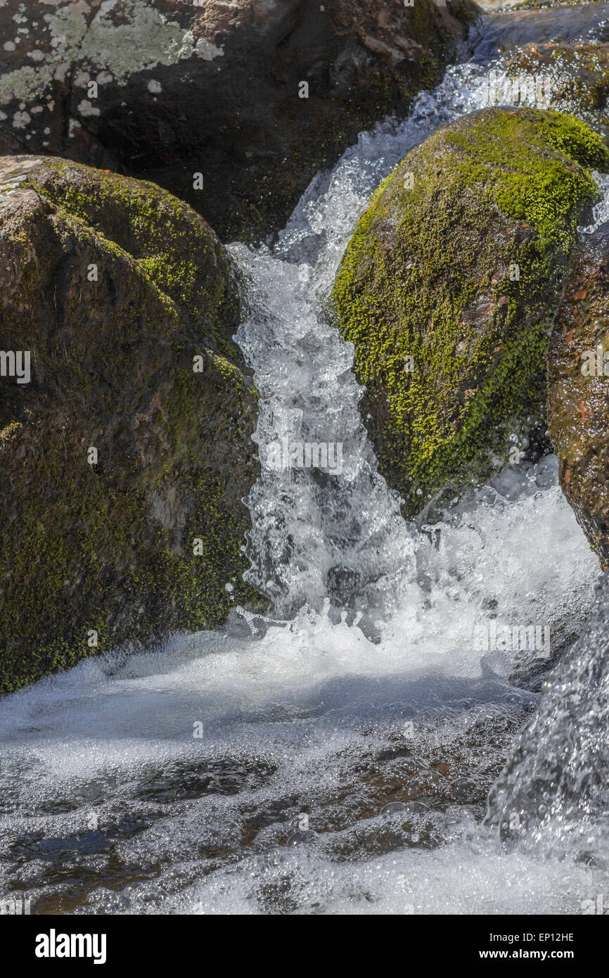 Waterfall rapids with water frozen in time splashing against mossy ...