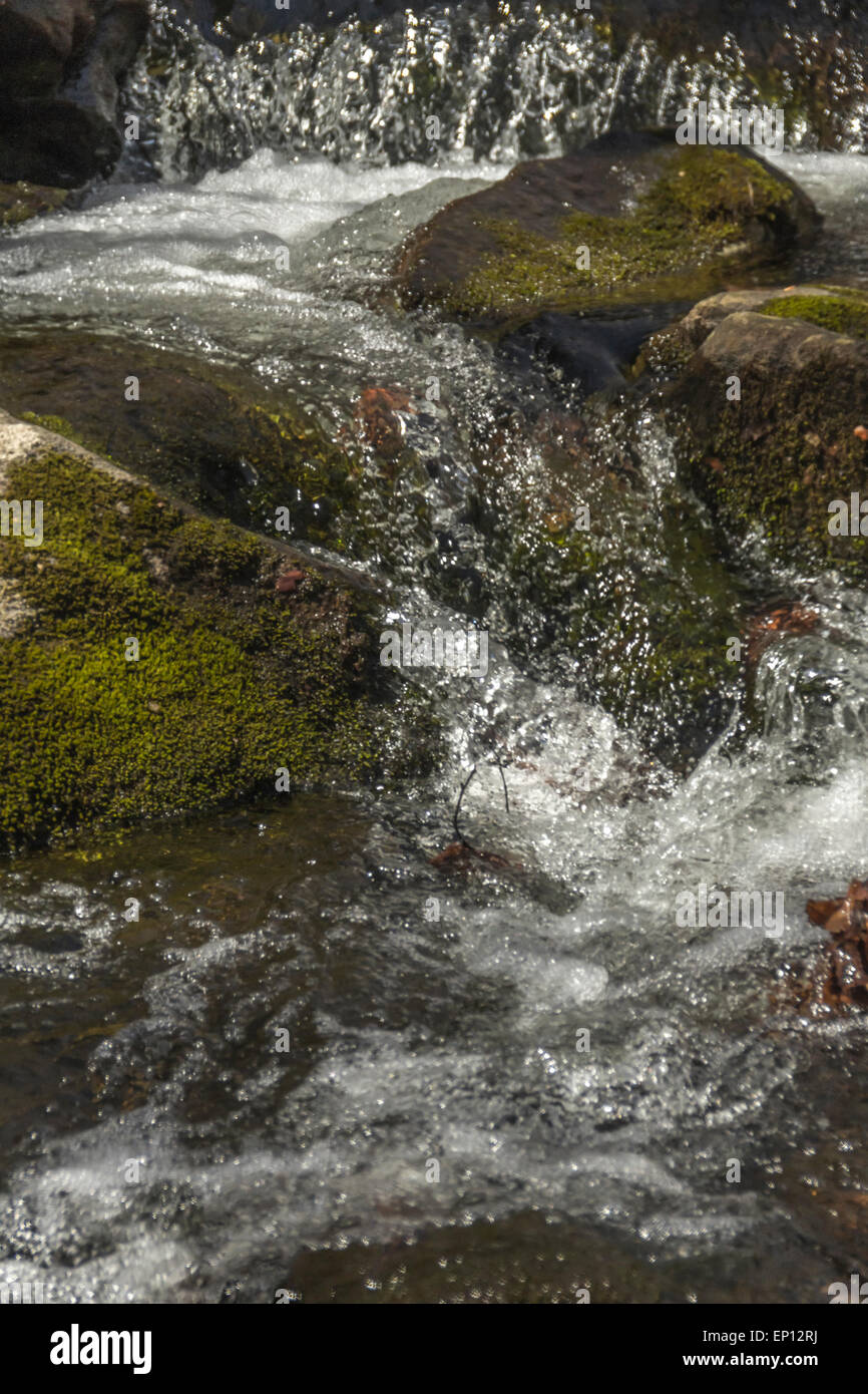 Waterfall rapids with water frozen in time splashing against mossy ...
