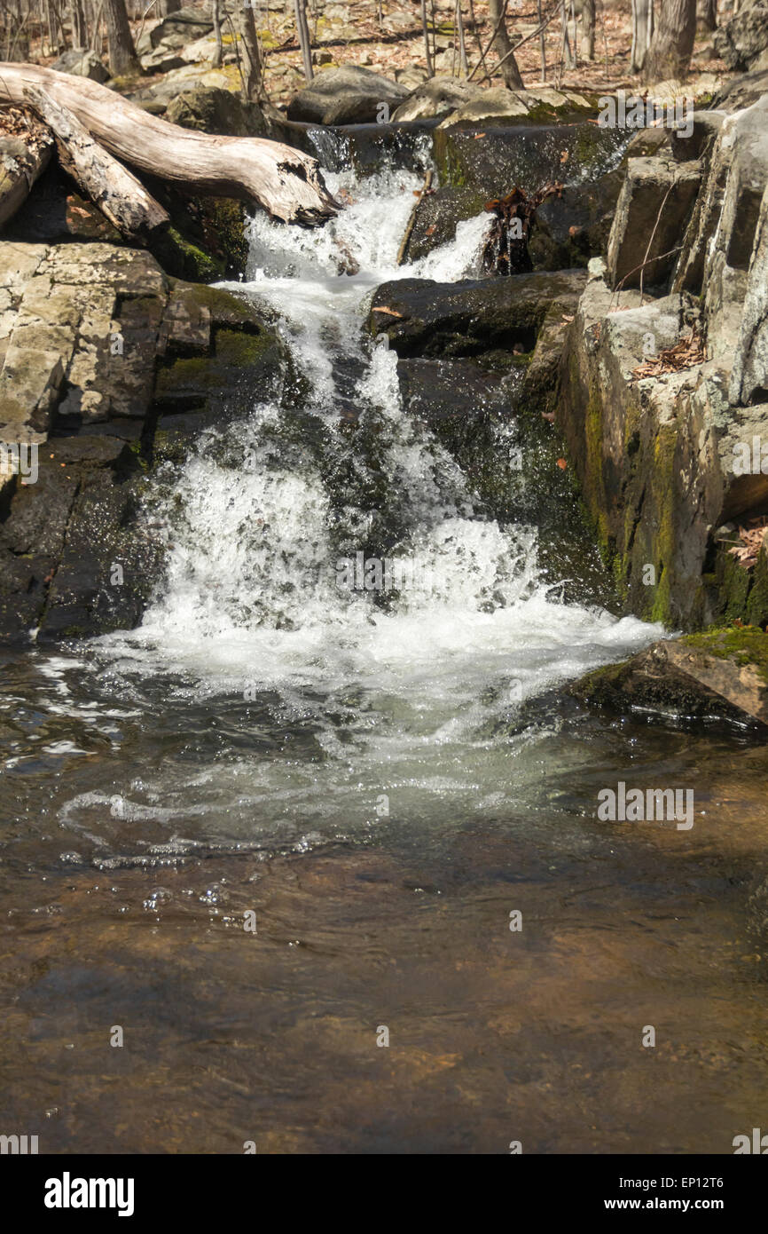 Waterfall rapids with water frozen in time splashing against mossy ...