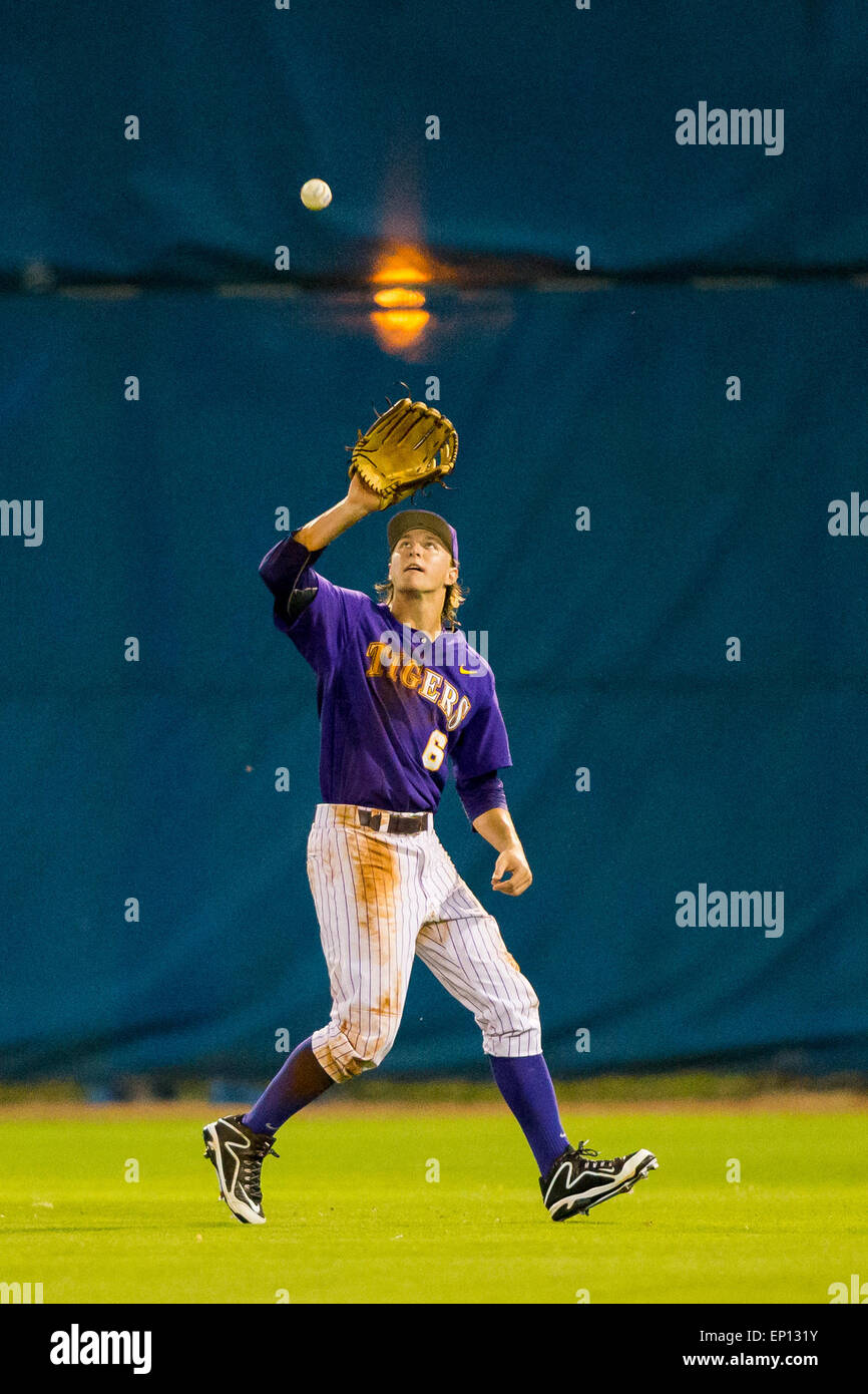 Maestri field hi-res stock photography and images - Alamy