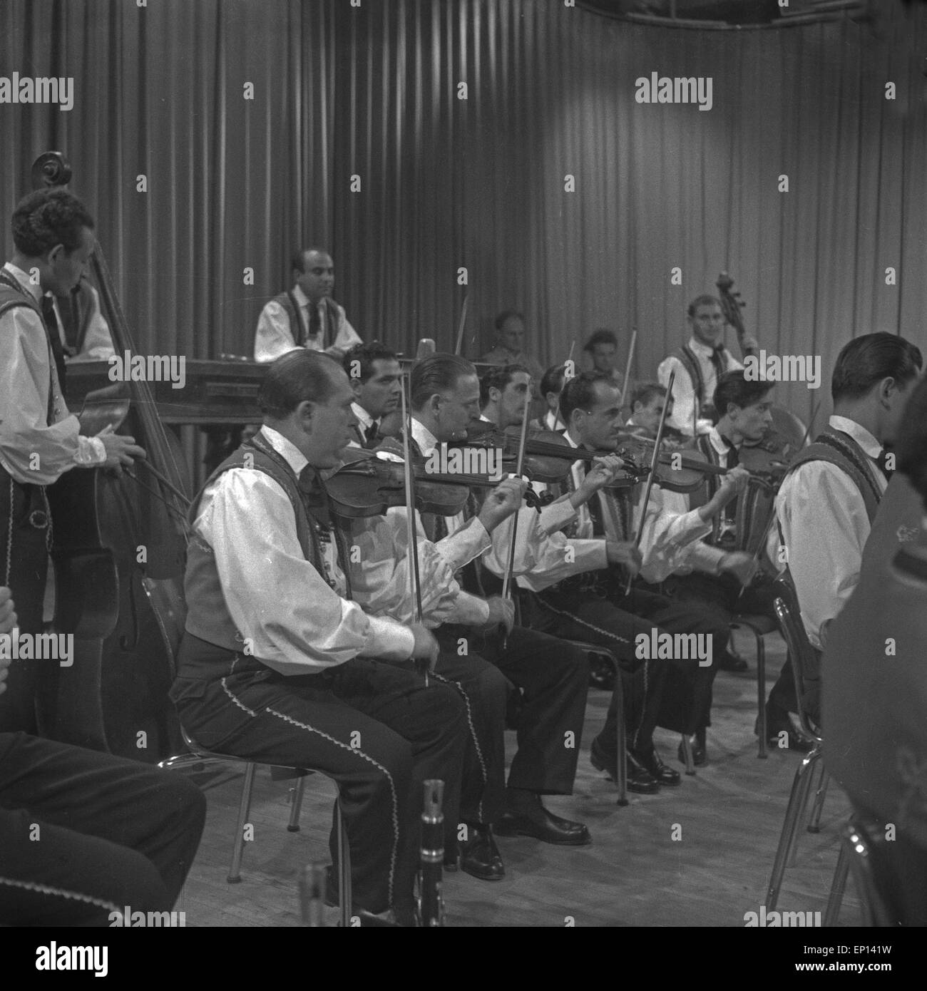 Die Geiger eines Zigeunerorchesters bei einem Auftritt, Deutschland ...