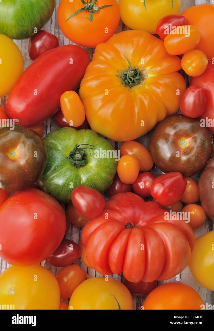 differents varieties of colorful tomatoes forming a background Stock ...