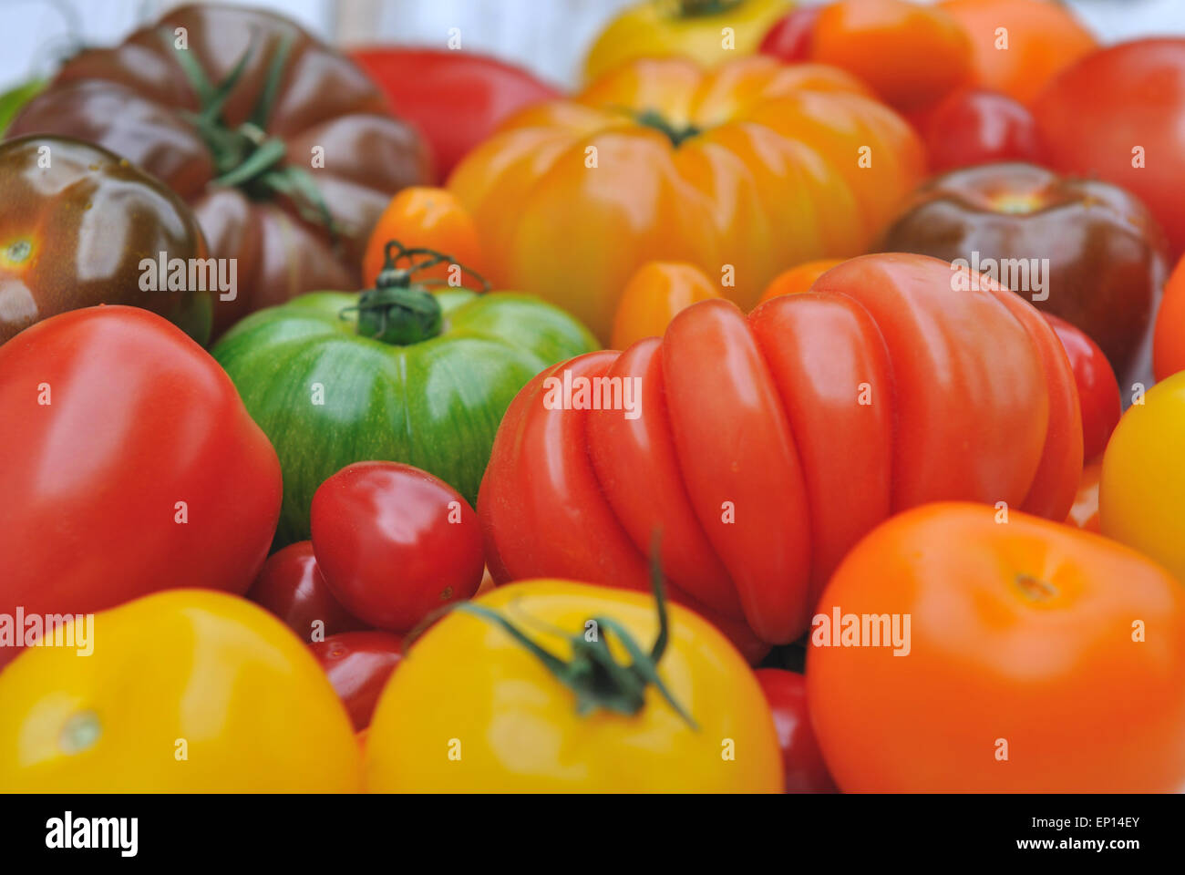 The varieties of colors hi-res stock photography and images - Alamy