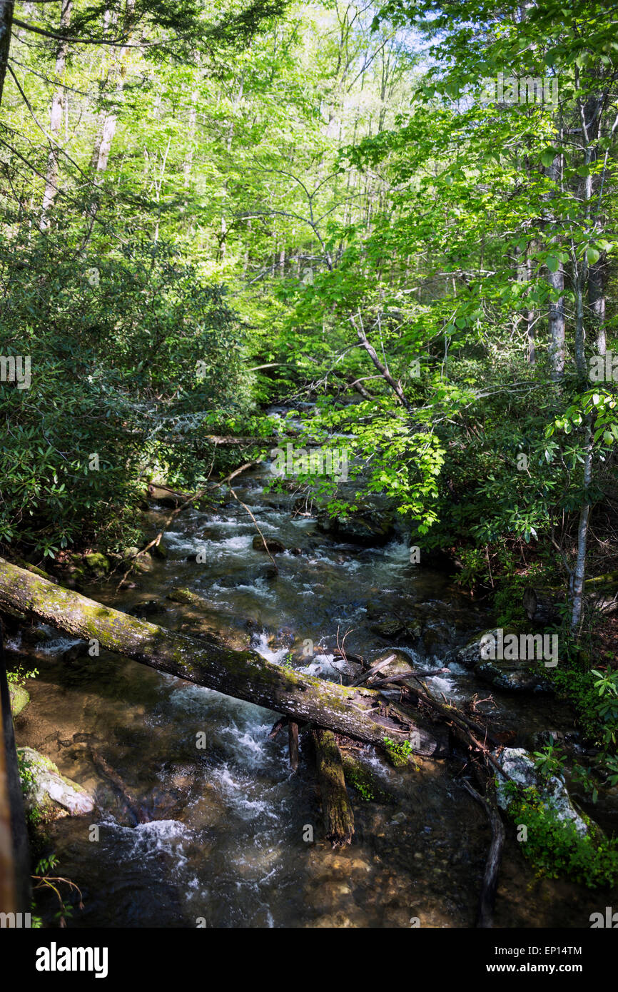 Chattahoochee national forest anna ruby hi-res stock photography and ...