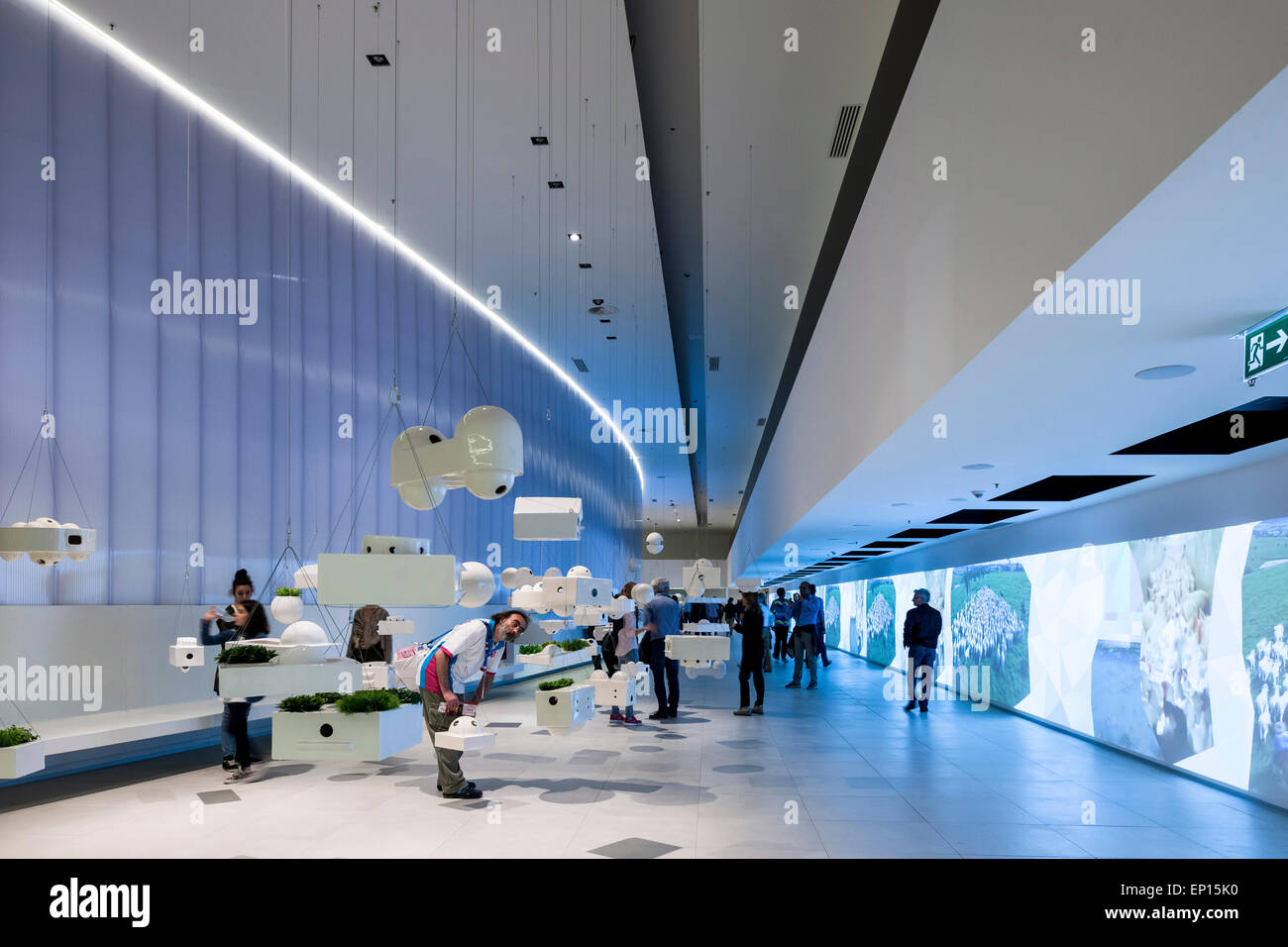 Interactive installations in exhibition space. Milan EXPO 2015 ...