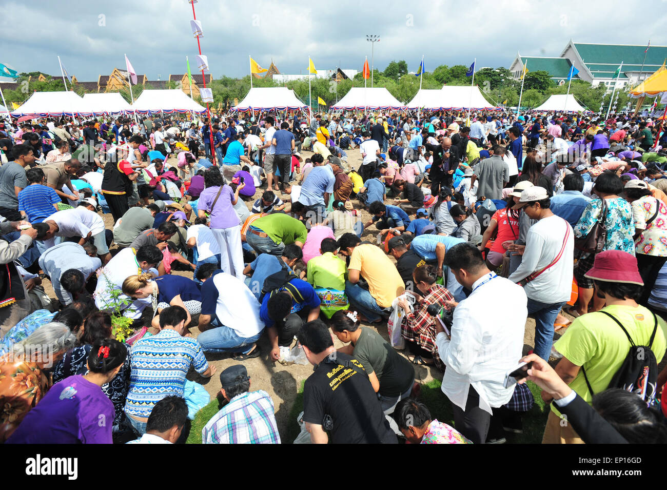 Bangkok, Thailand. 13th May, 2015. Thai people pick up sacred rice ...