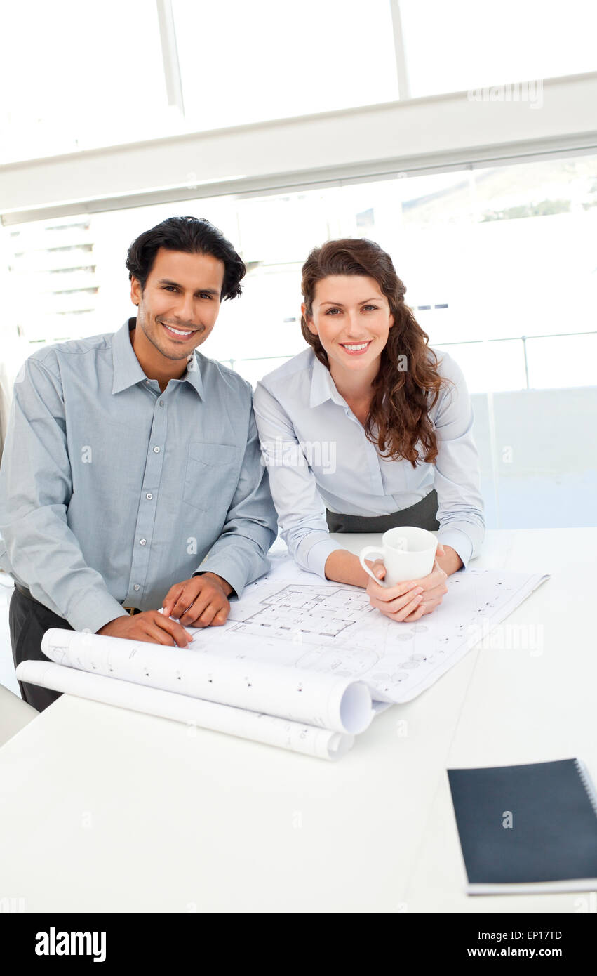 Portrait of happy architects working together Stock Photo - Alamy