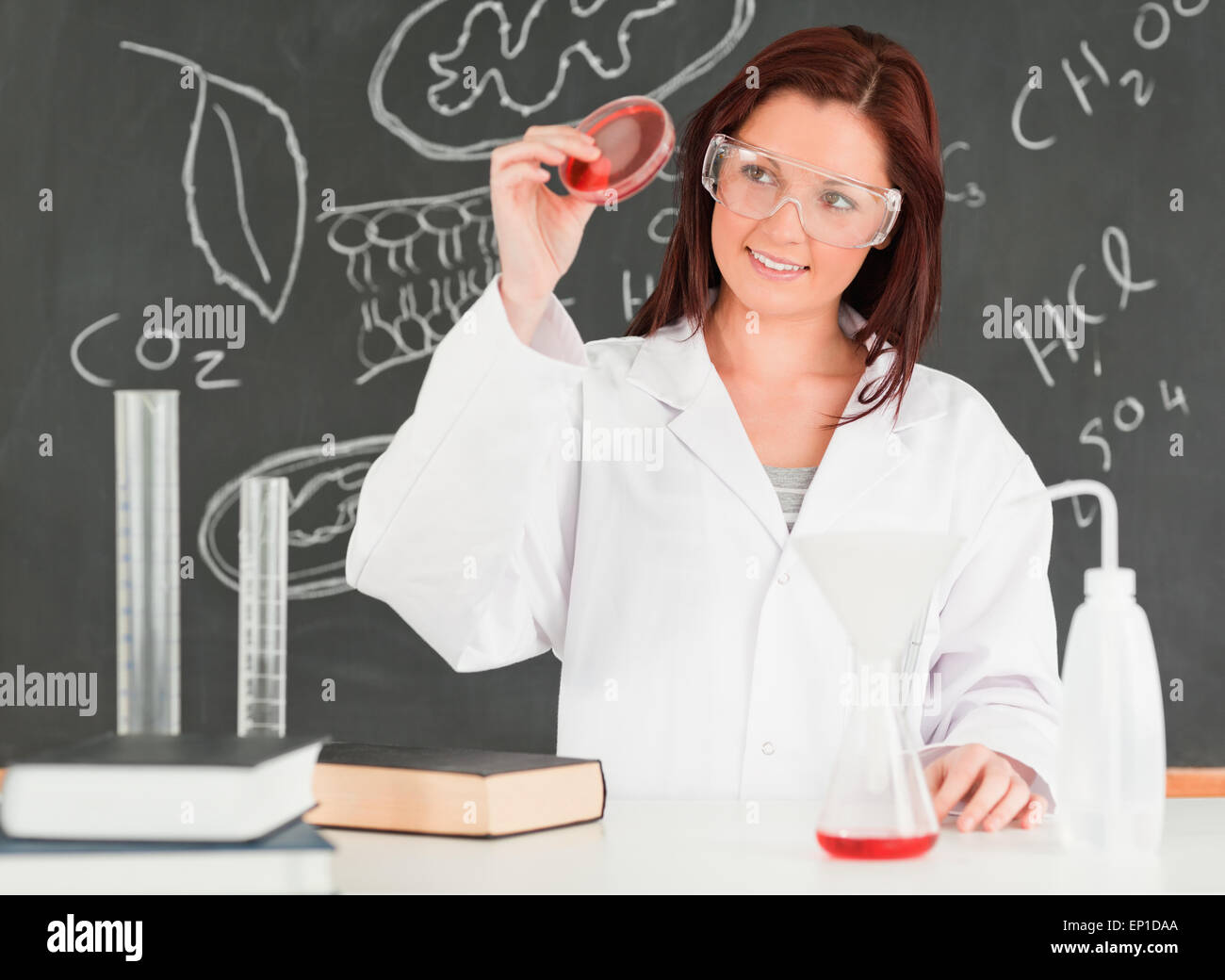 Pretty scientist looking at a petri dish Stock Photo - Alamy