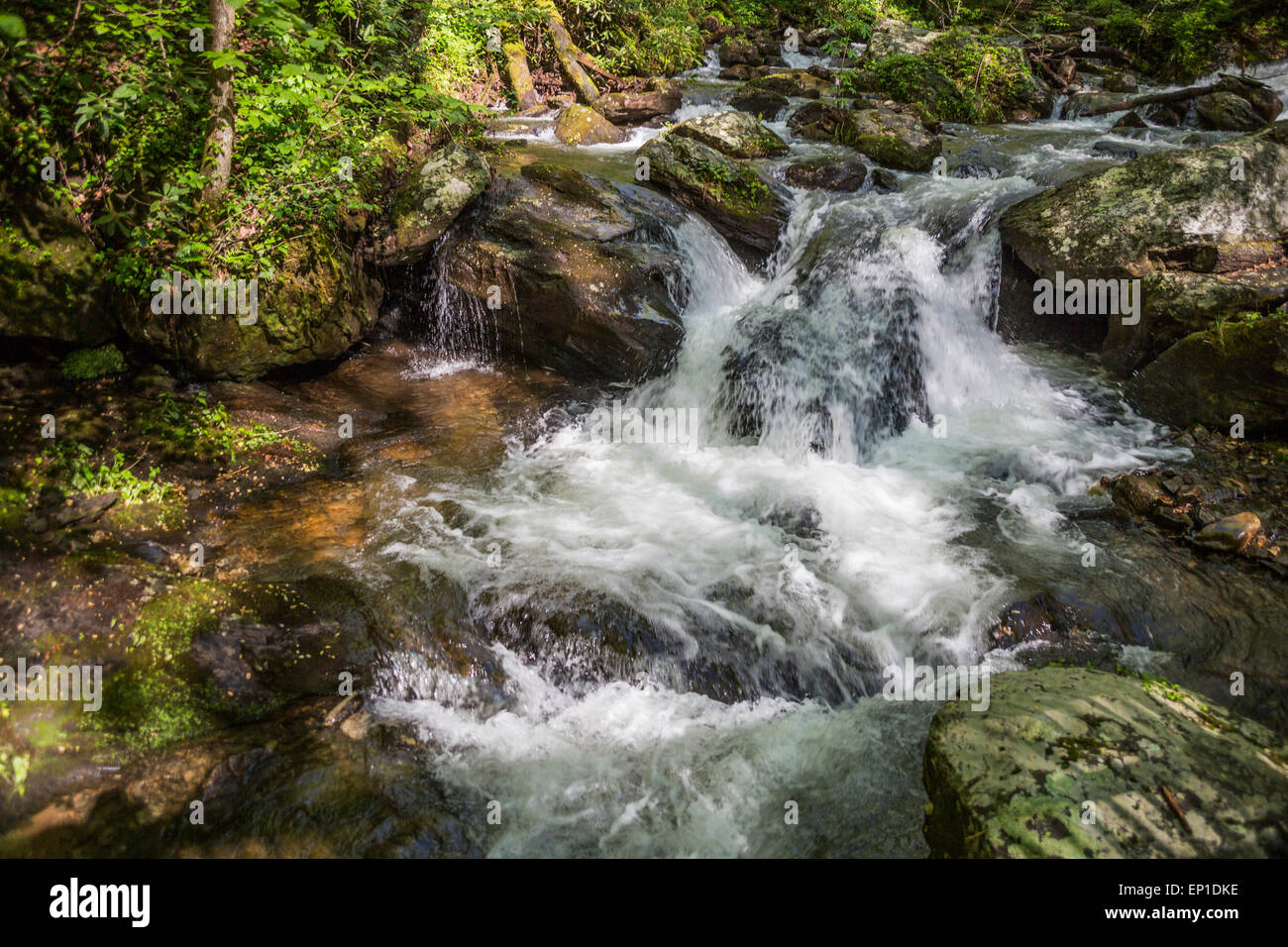 Smith Creek, Anna Ruby Falls, Chattahoochee-Oconee National Forest ...