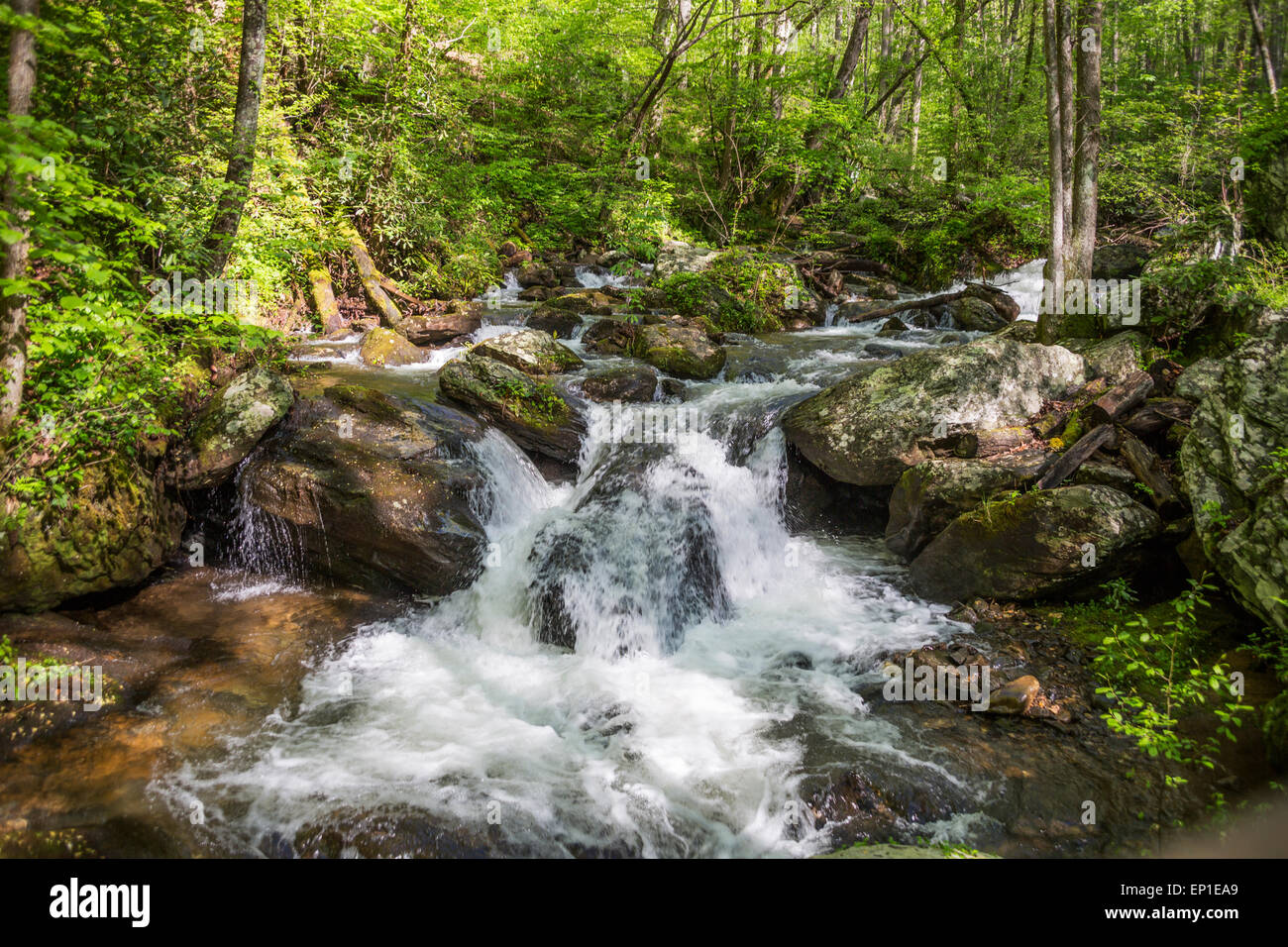 Smith Creek, Anna Ruby Falls, Chattahoochee-Oconee National Forest ...