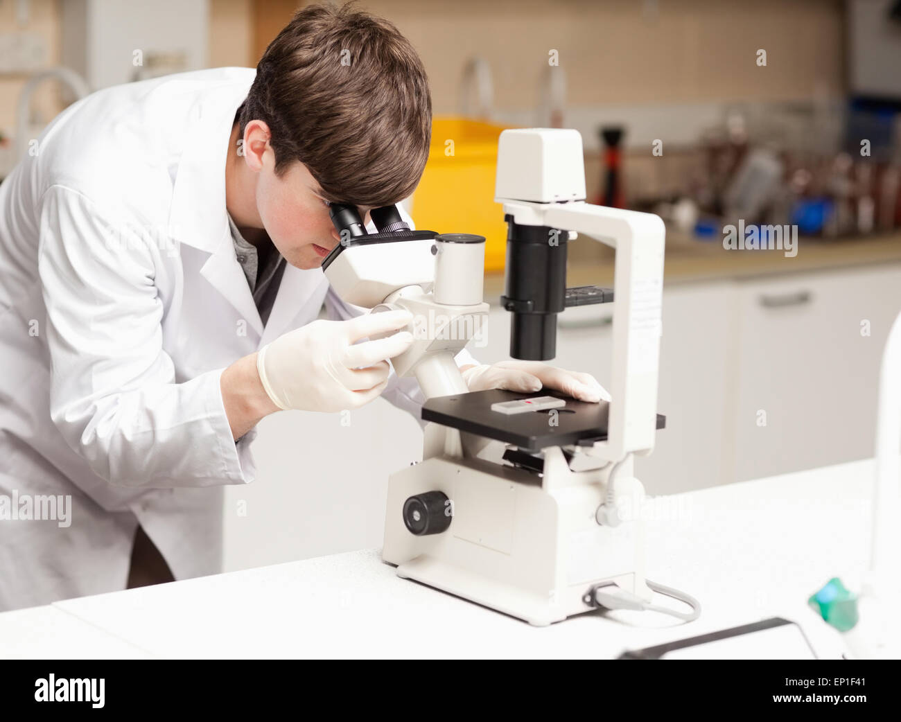 Science student looking in a microscope Stock Photo - Alamy