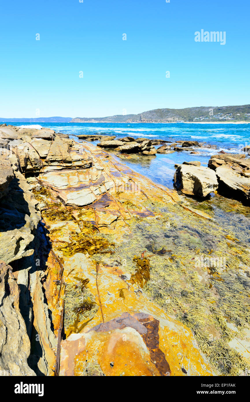 Nsw coastal erosion hi-res stock photography and images - Alamy