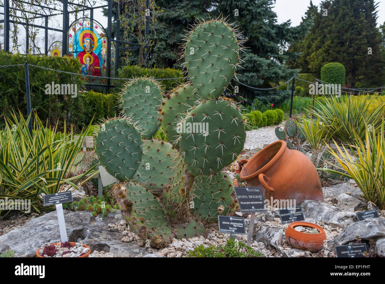 Spring season at Queen Maria Palace and gardens in Balchik, Bulgaria ...