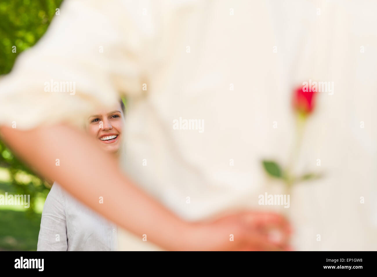 Man offering a rose to his girlfriend Stock Photo - Alamy