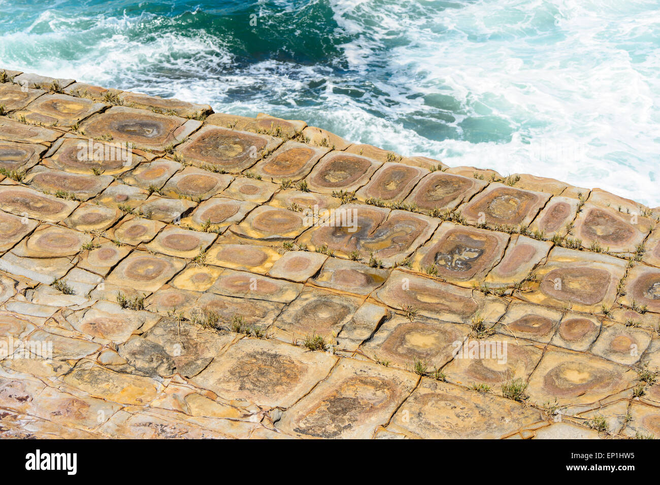 Tessallated Pavement, Bouddi National Park, New South Wales, NSW ...