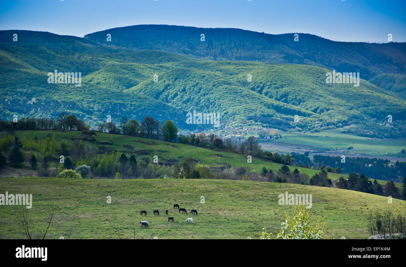 Hungarian rural springtime hi-res stock photography and images - Alamy