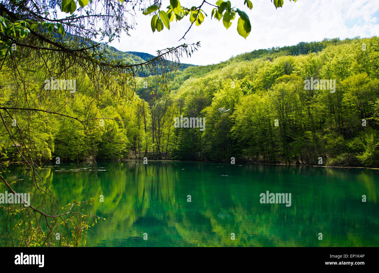 Beautiful emerald mountain lake in Beech Mountains, Szilvasvarad ...