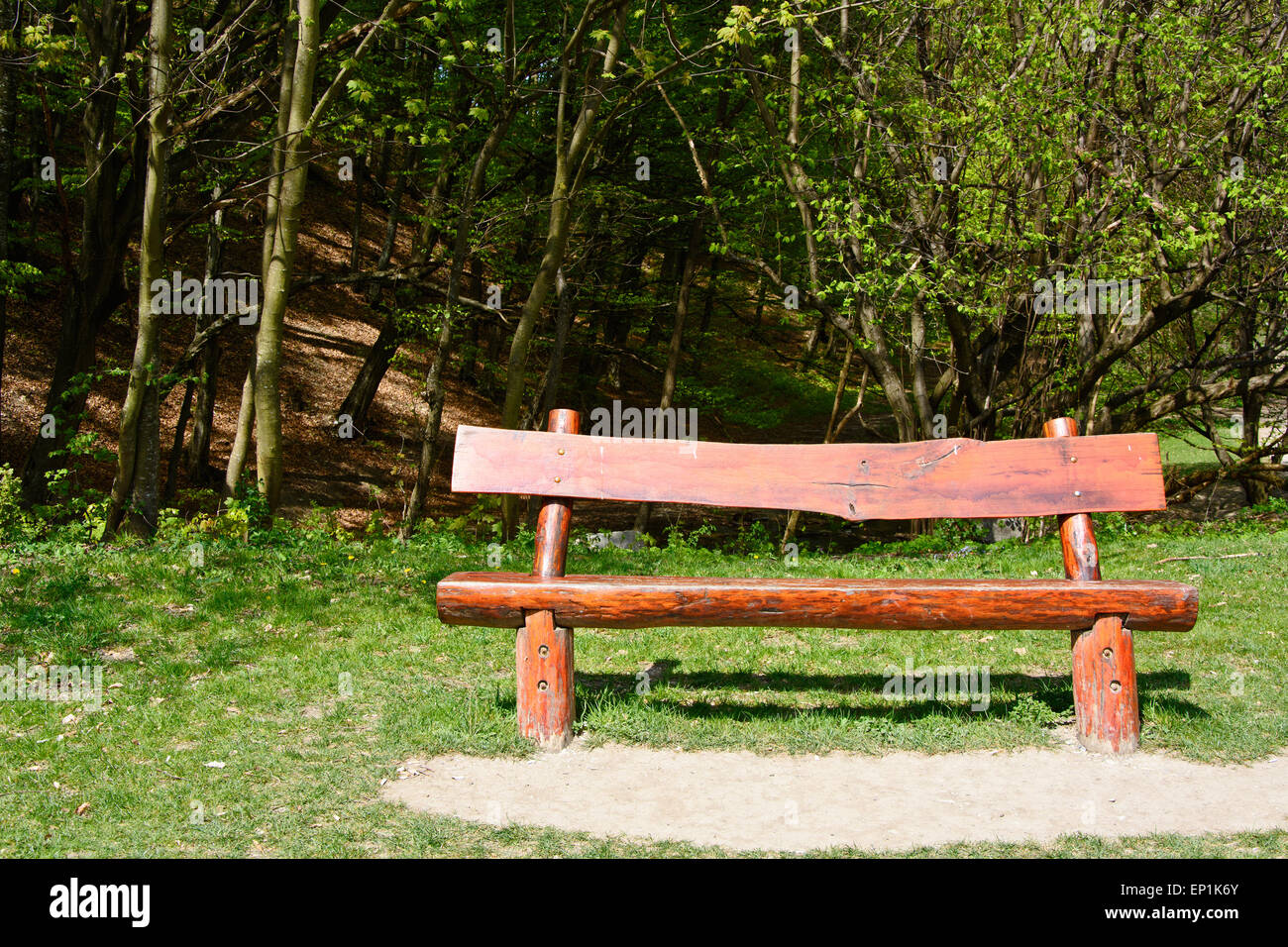 Dark brown wooden bench in forest in spring Stock Photo - Alamy