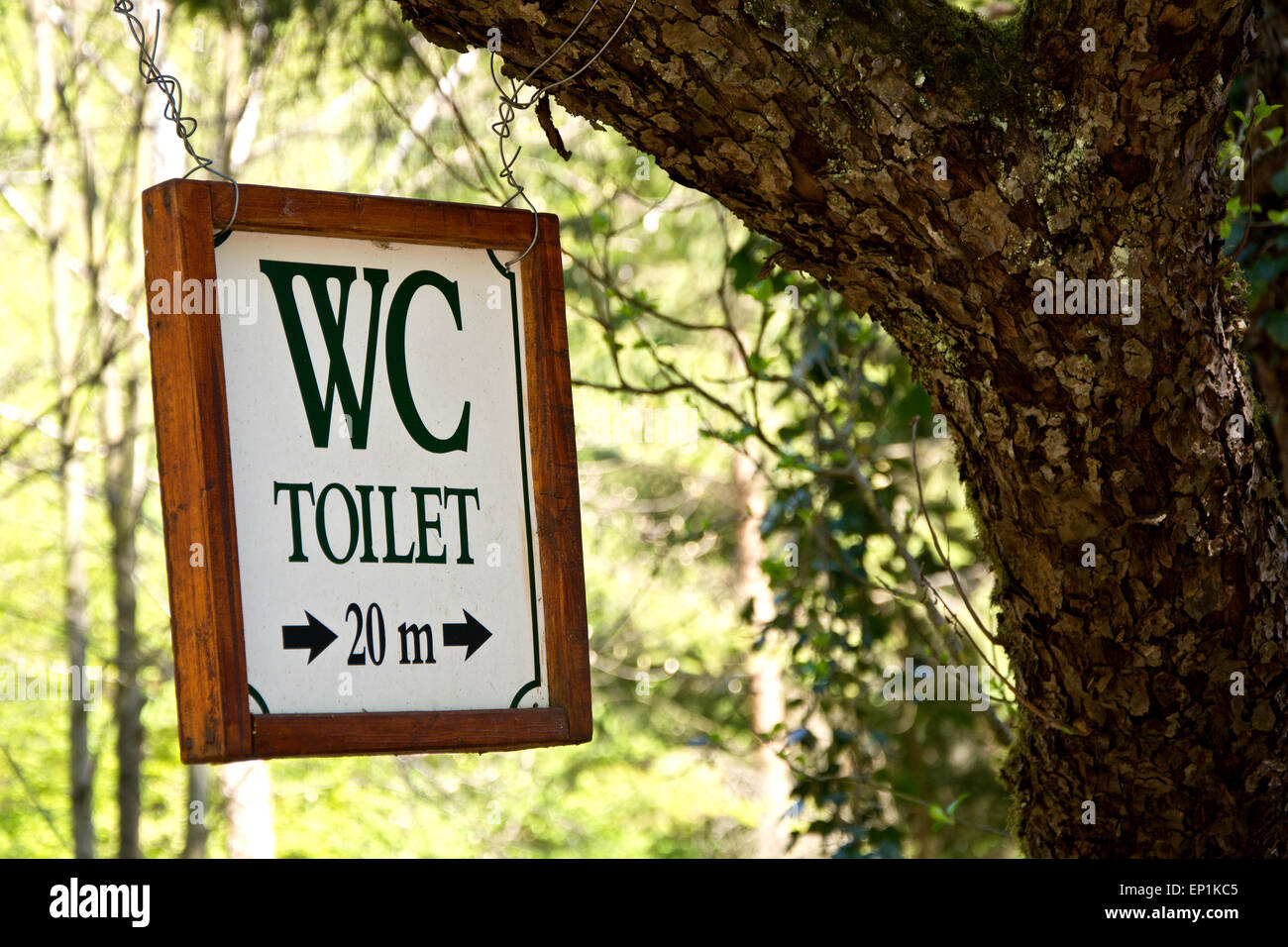 Vintage style wc sign with arrow hanging on a tree Stock Photo - Alamy