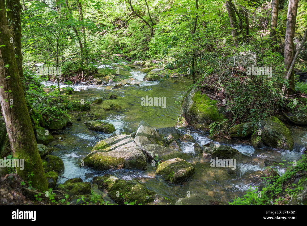 Smith Creek, Anna Ruby Falls, Chattahoochee-Oconee National Forest ...