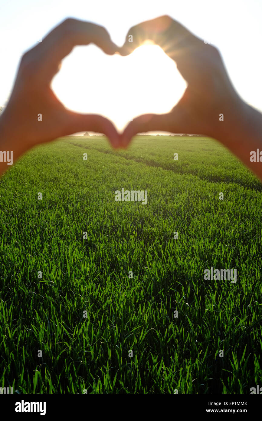 Hands showing heart symbol, beautiful sunset landscape in the ... Hands showing heart symbol, beautiful sunset landscape in the ...