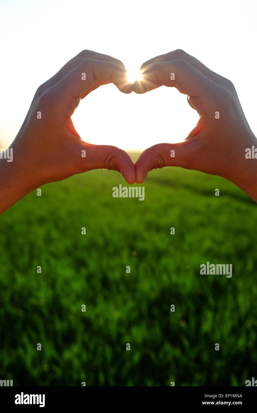 Hands showing heart symbol, beautiful sunset landscape in the ... Hands showing heart symbol, beautiful sunset landscape in the ...