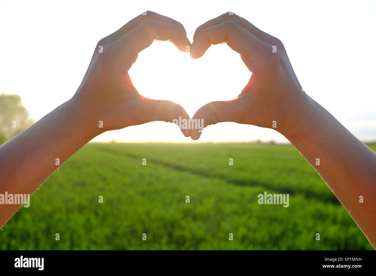 Hands showing heart symbol, beautiful sunset landscape in the ... Hands showing heart symbol, beautiful sunset landscape in the ...