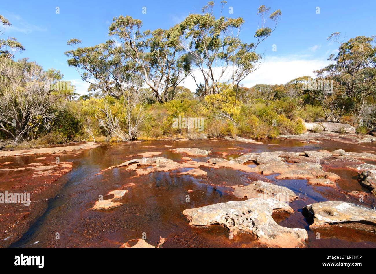 Dharawal national park hi-res stock photography and images - Alamy
